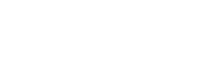 Autodesk FlexSim - NexGenSolutions